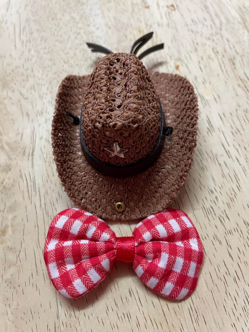 Cute Tiny Guinea Pig Cowboy Hat and Tie Set - Hat for Chooks, Parrots ...