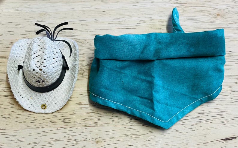 Cute Tiny Guinea Pig Cowboy Hat and Handmade Bandana Set - Hat for ...