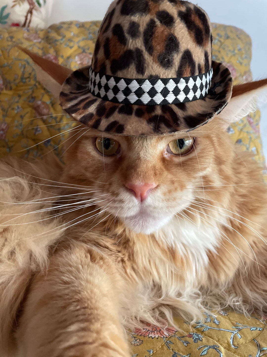 Cat Dog Hat Plush Fedora Hat Animal Print Cute Cool - Etsy