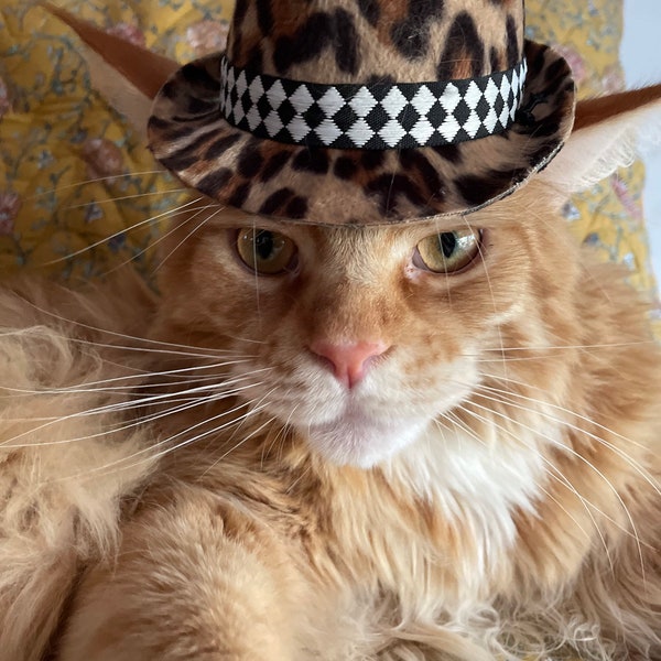 Cat Fedora - Etsy