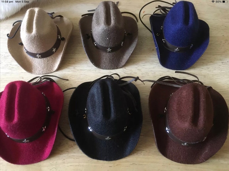 Felt Cowboy Hat for Cats & Dogs, Adjustable Pet Costume - Etsy