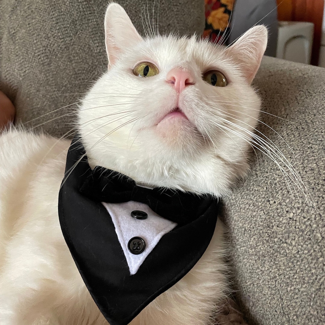 Swashbuckling & Debonair Cat Dog Tuxedo Bandana - Handmade - Cute Pet ...