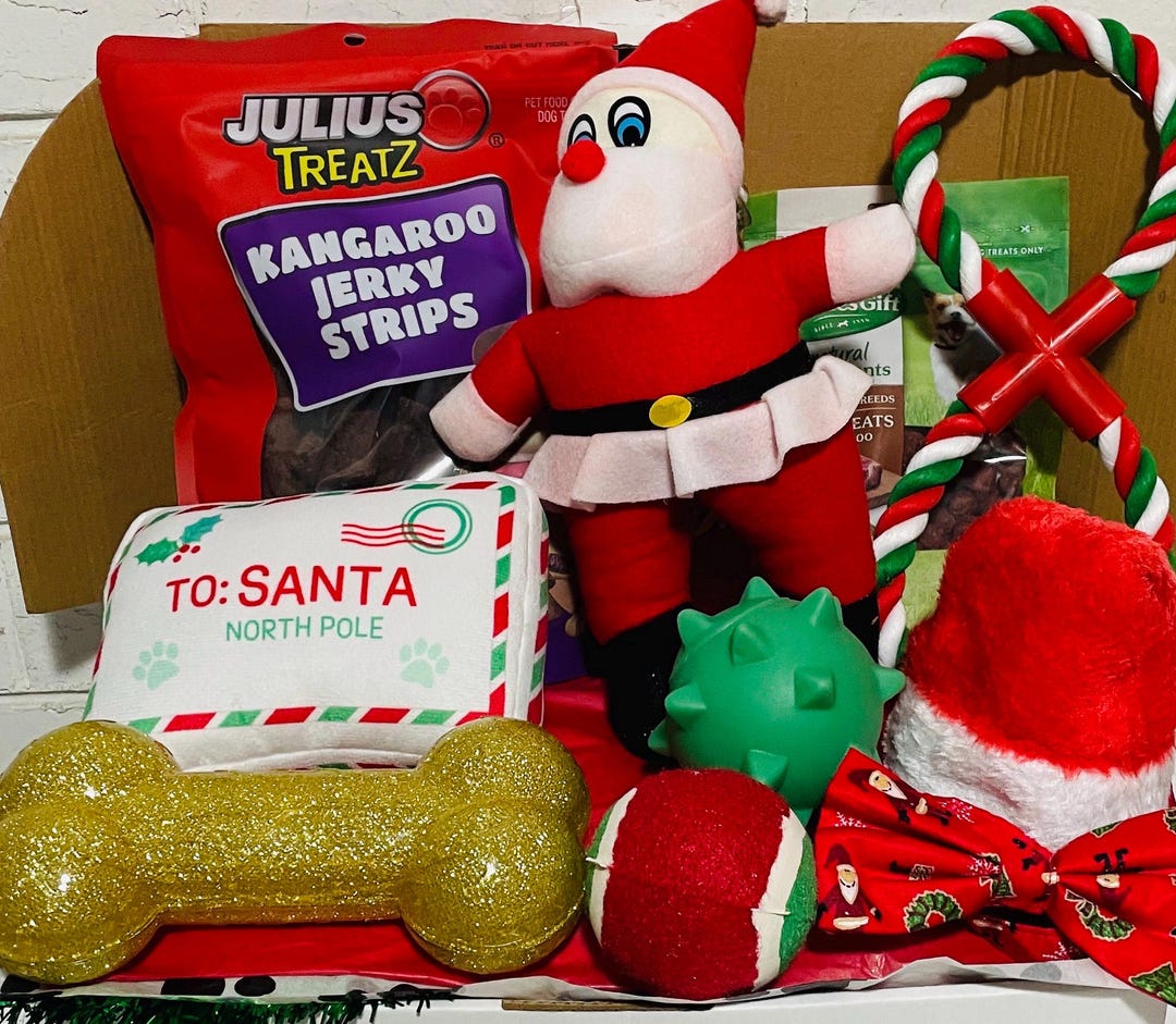 Amazing Dog Puppy Christmas Gift Box Hamper Dog Treat Box Christmas Eve ...