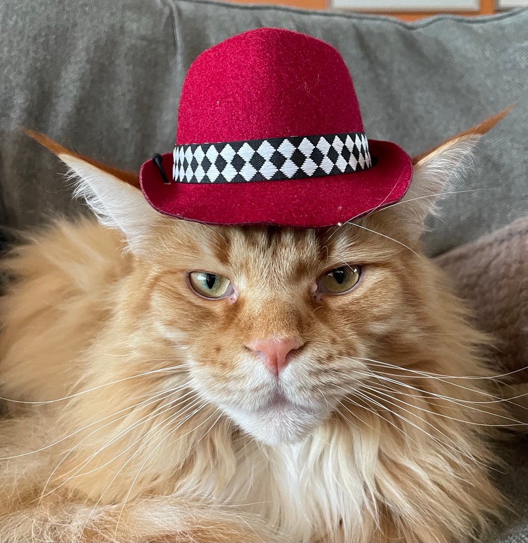 Cat Dog Hat Plush Fedora Hat Animal Print Cute Cool - Etsy