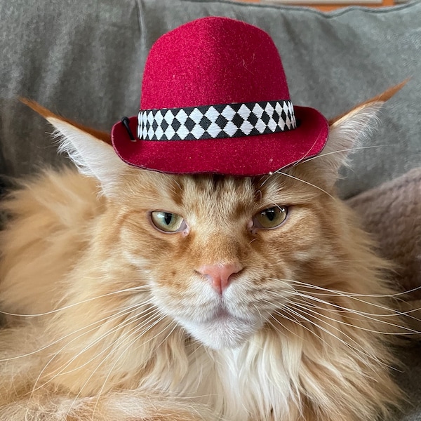 Cat Fedora - Etsy