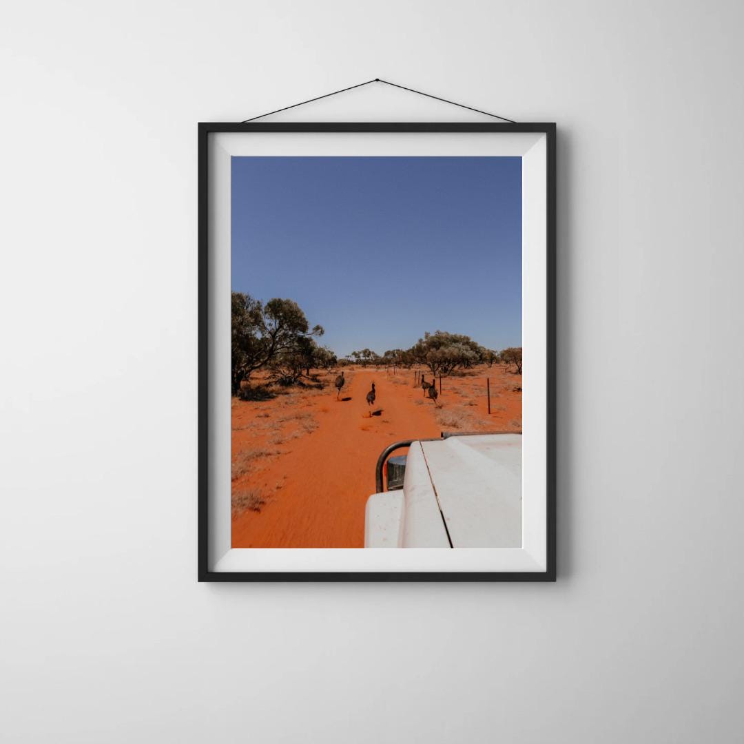 Emus Running Photograph | Outback | Australia | Printable Poster ...