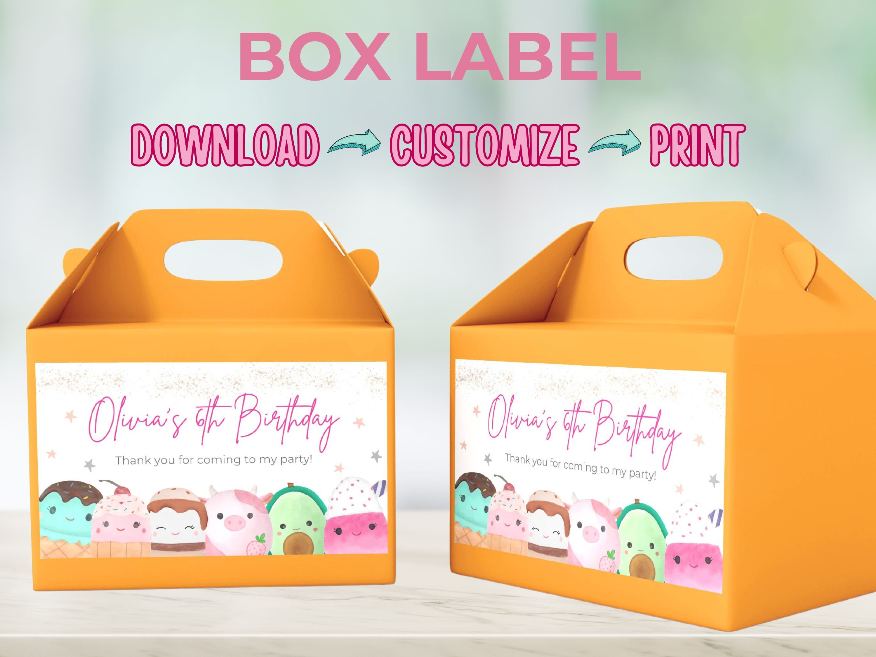 Editable Squishmallow Gable Box Label Birthday Party Favor Bag, Squish ...