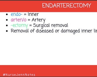 Medical Terminology Flashcards, Flash Cards, Terminology, Study ...