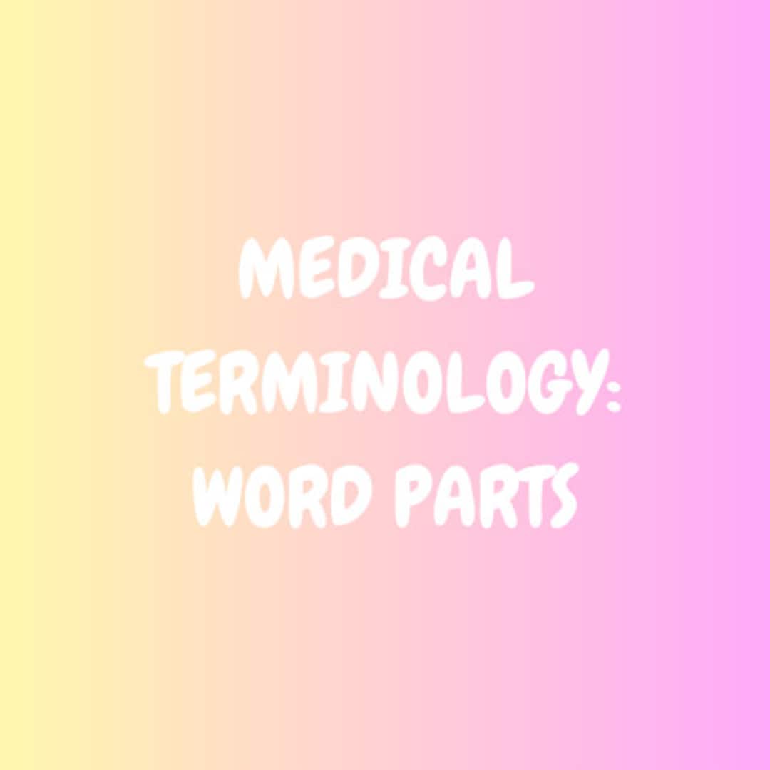 Medical Terminology Flashcards: Word Parts - Etsy