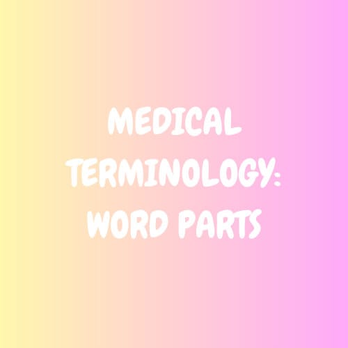 Medical Terminology Flashcards: Word Parts - Etsy