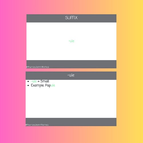 Medical Terminology Flashcards: Word Parts - Etsy