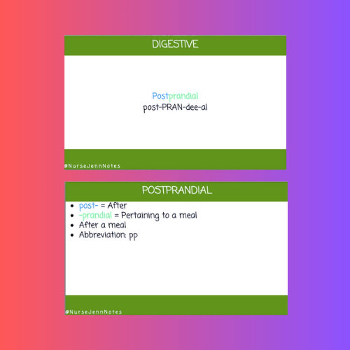Medical Terminology Flashcards: Digestive System - Etsy