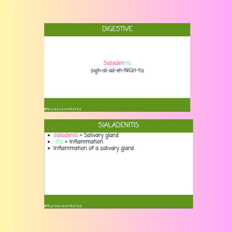 Medical Terminology Flashcards: Digestive System - Etsy