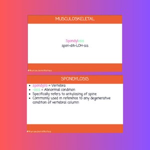 Medical Terminology Flashcards: Musculoskeletal System - Etsy