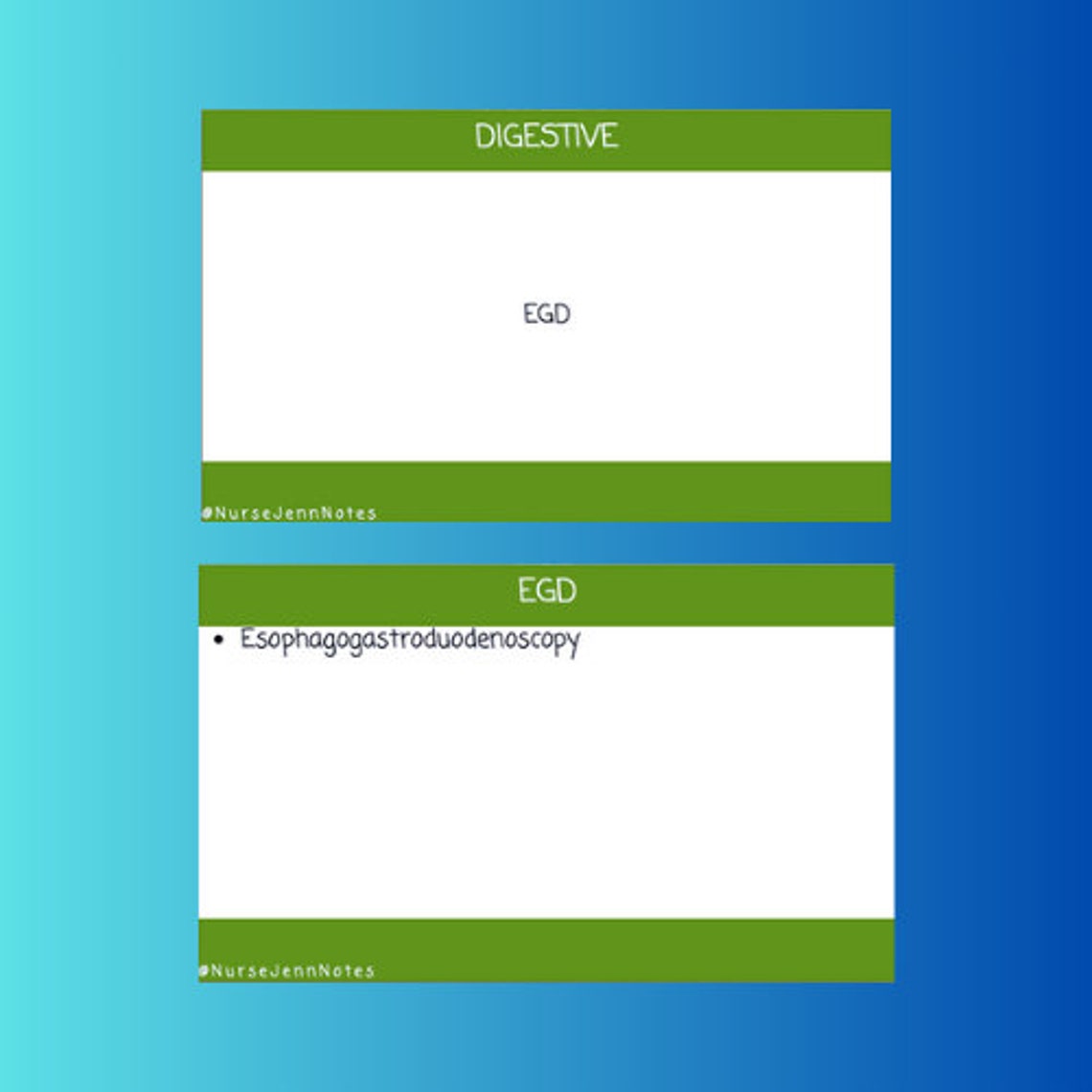 Medical Terminology Flashcards: Digestive System - Etsy