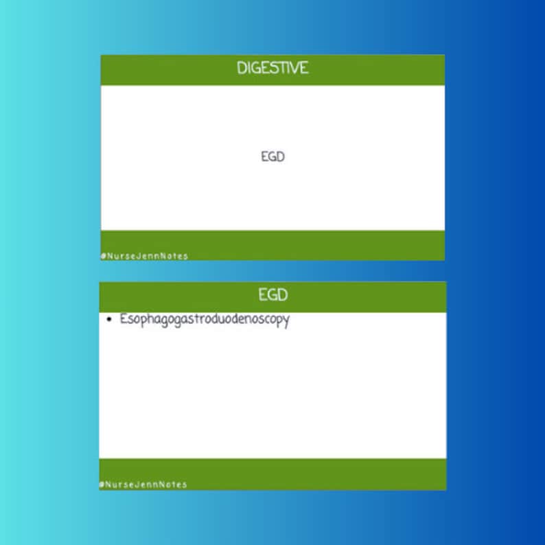 Medical Terminology Flashcards: Digestive System - Etsy