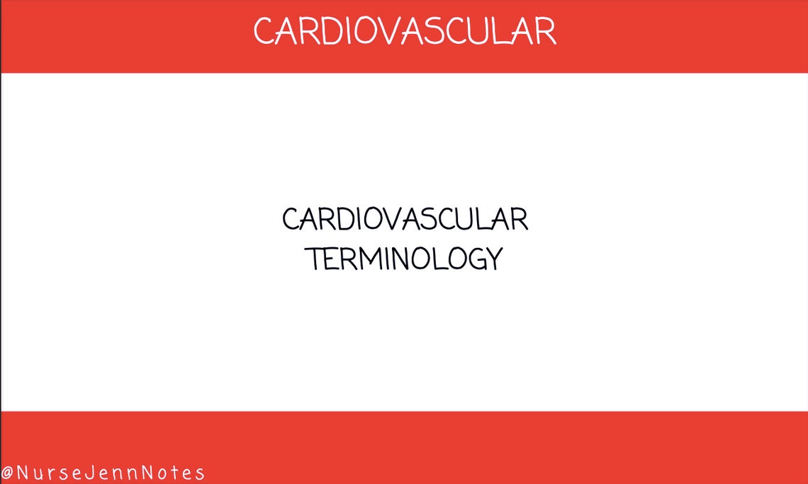 Medical Terminology Flashcards: Cardiovascular - Etsy