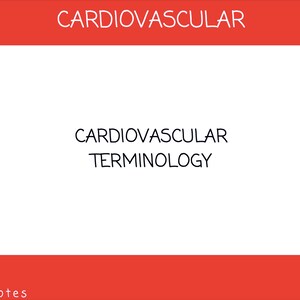 Medical Terminology Flashcards: Cardiovascular - Etsy