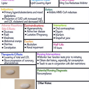 100 Pharmacology Medication Notes - Etsy