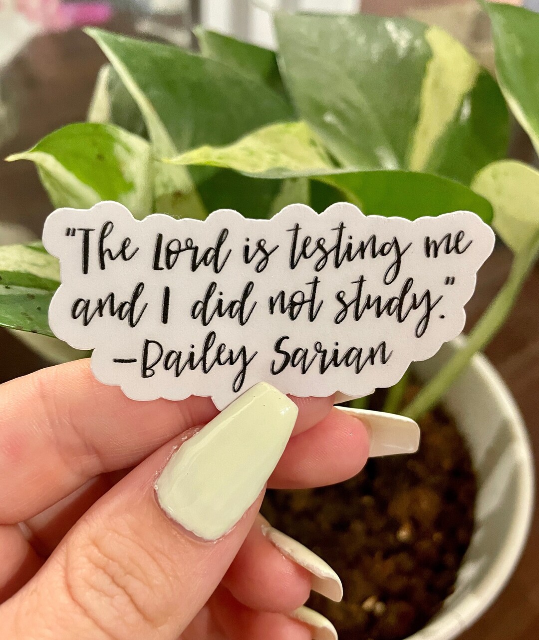 Bailey Sarian "the Lord is Testing Me and I Did Not Study" Sticker - Etsy