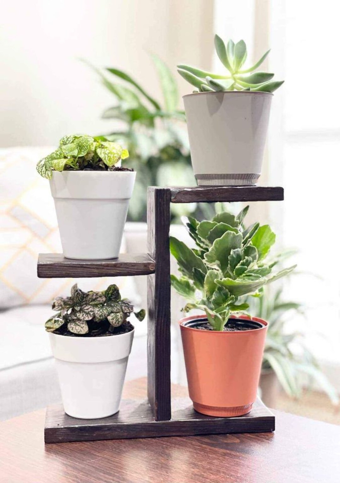 Succulent Plant Stand - Etsy