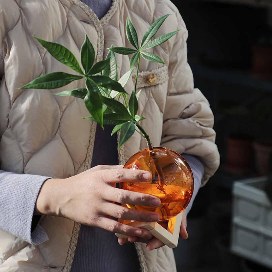 Propagation Spherical Glass Vase With Wood Stand Propagation - Etsy