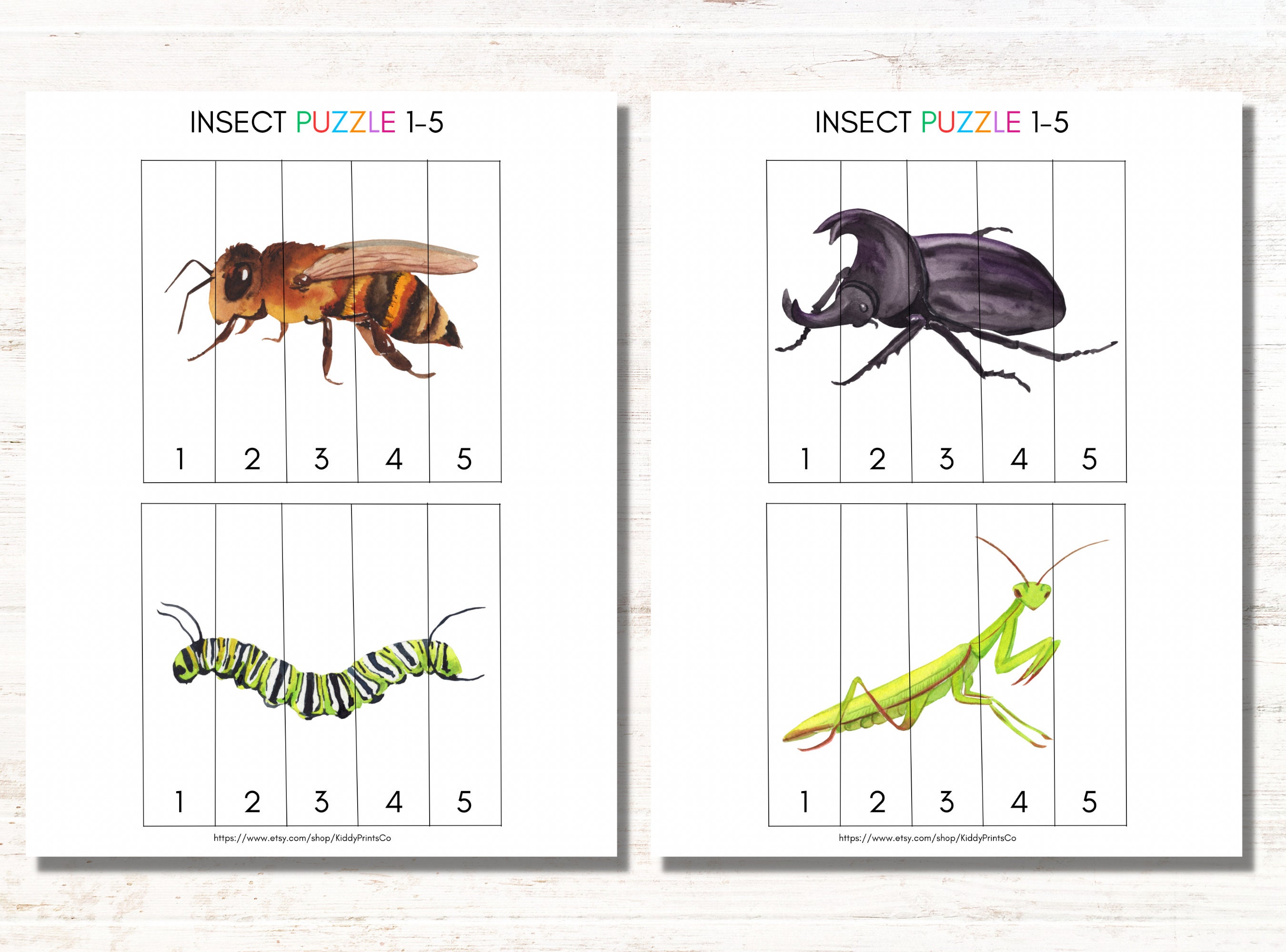 Insect Printable Puzzle Number 1-5, Preschool Animal Puzzle, Number ...