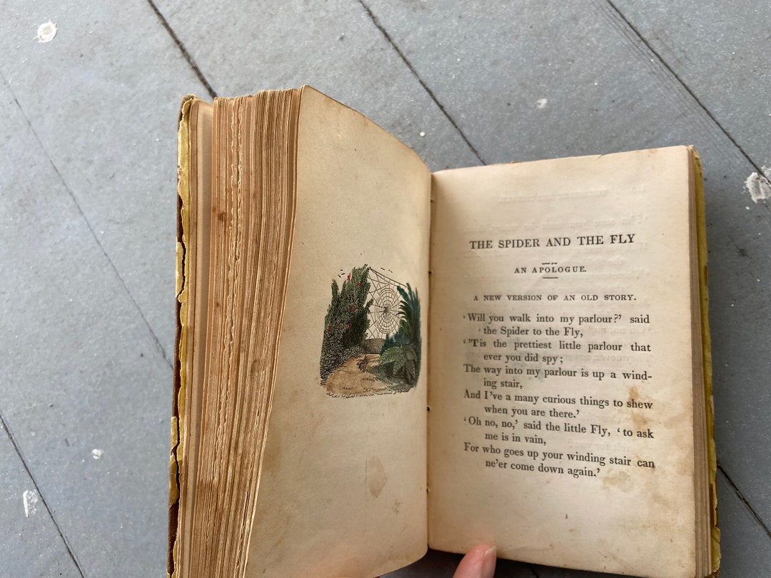 Antique Literature, Vintage Poetry, Mary Howitt, the Spider & the Fly ...