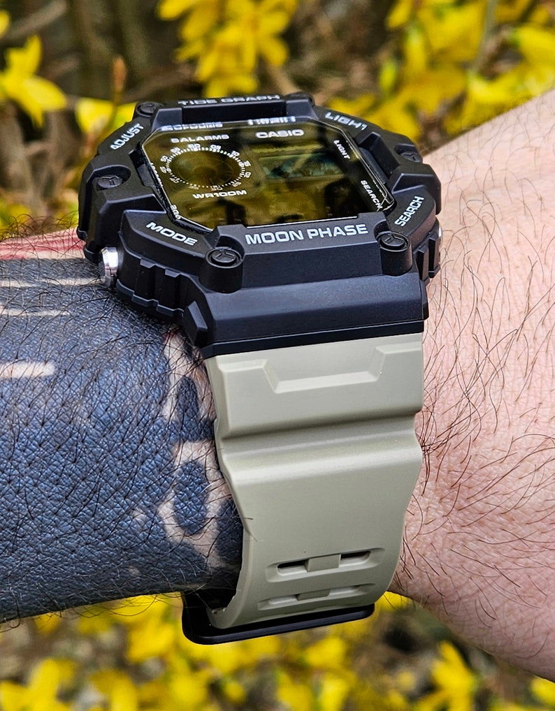 Modified Watch Based on Casio AE-1200/WS-1700 - 'royale Beast" Watch ...
