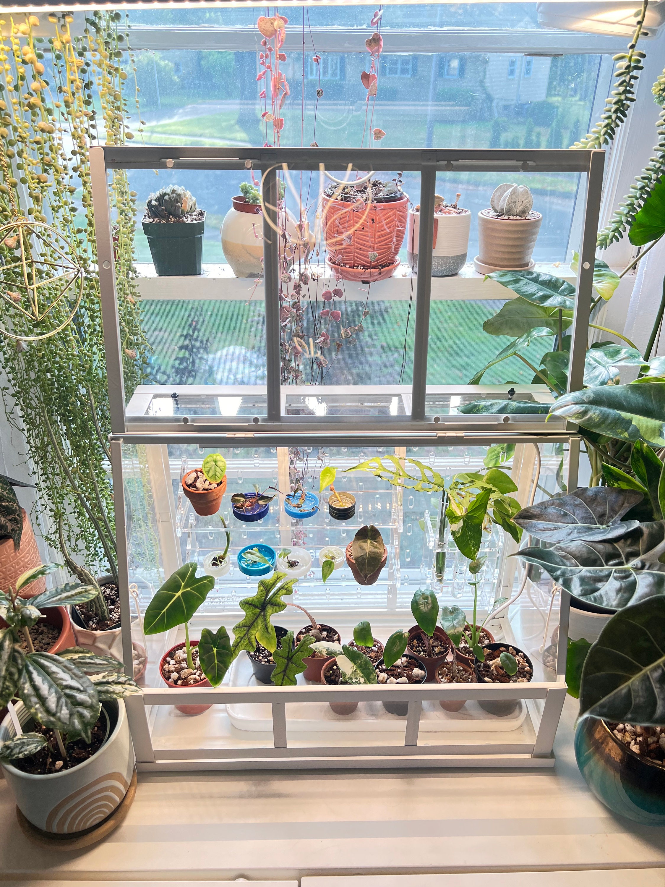 Ikea grow cabinet store