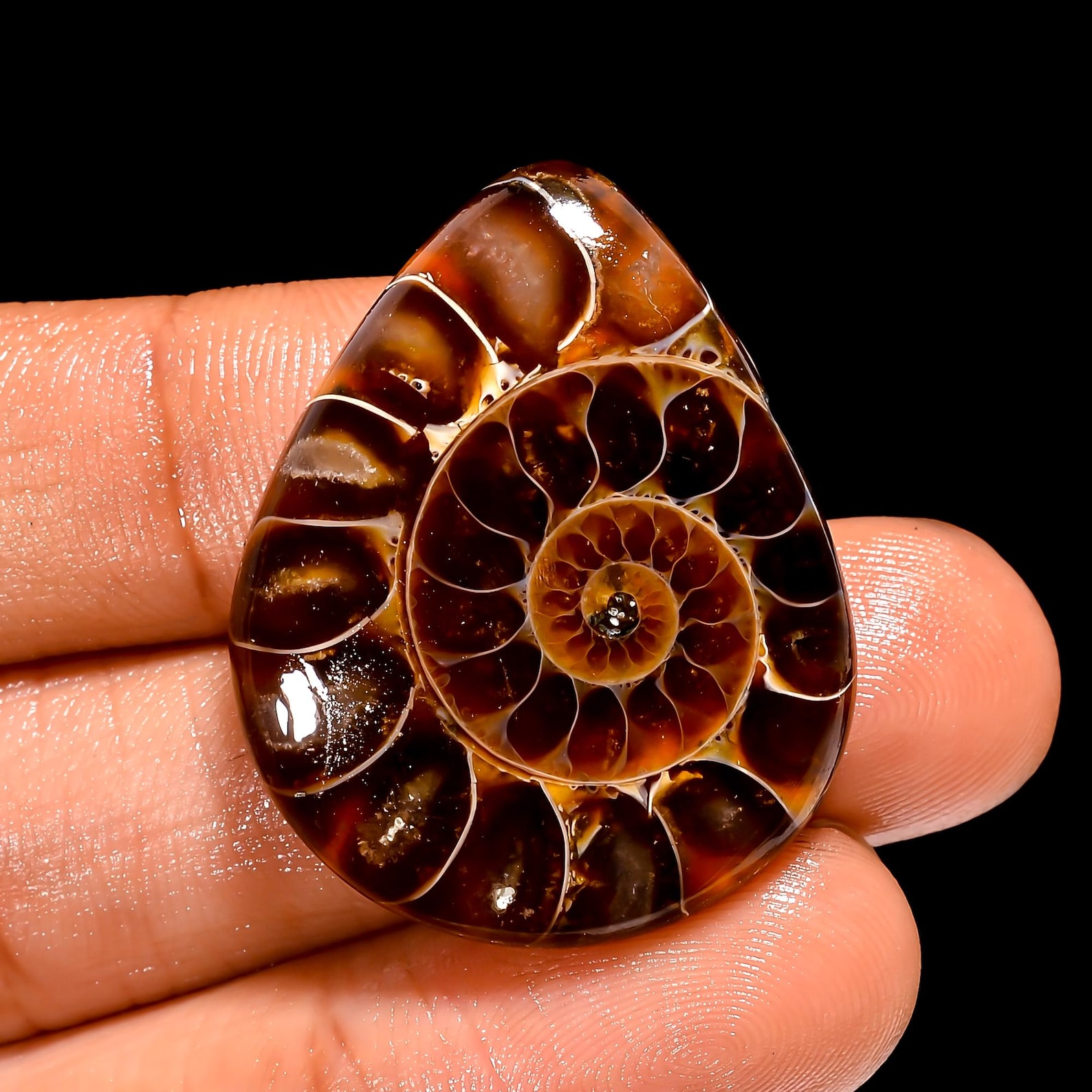 Ammonite Cabochon Drop Shape Fossil Ammonite Gemstone 32X25X6 Mm Size ...