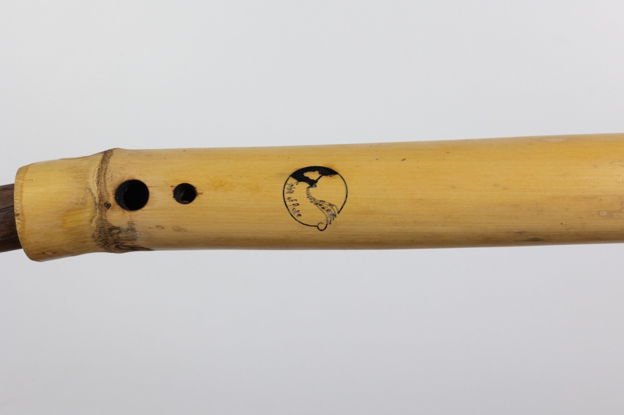 River Cane Native American Flute - Etsy