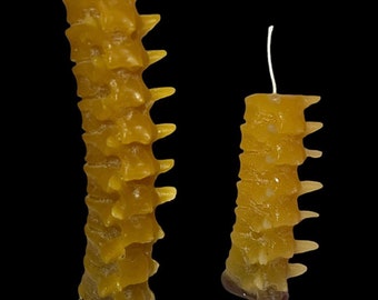 Spinal Cord Candle - Etsy