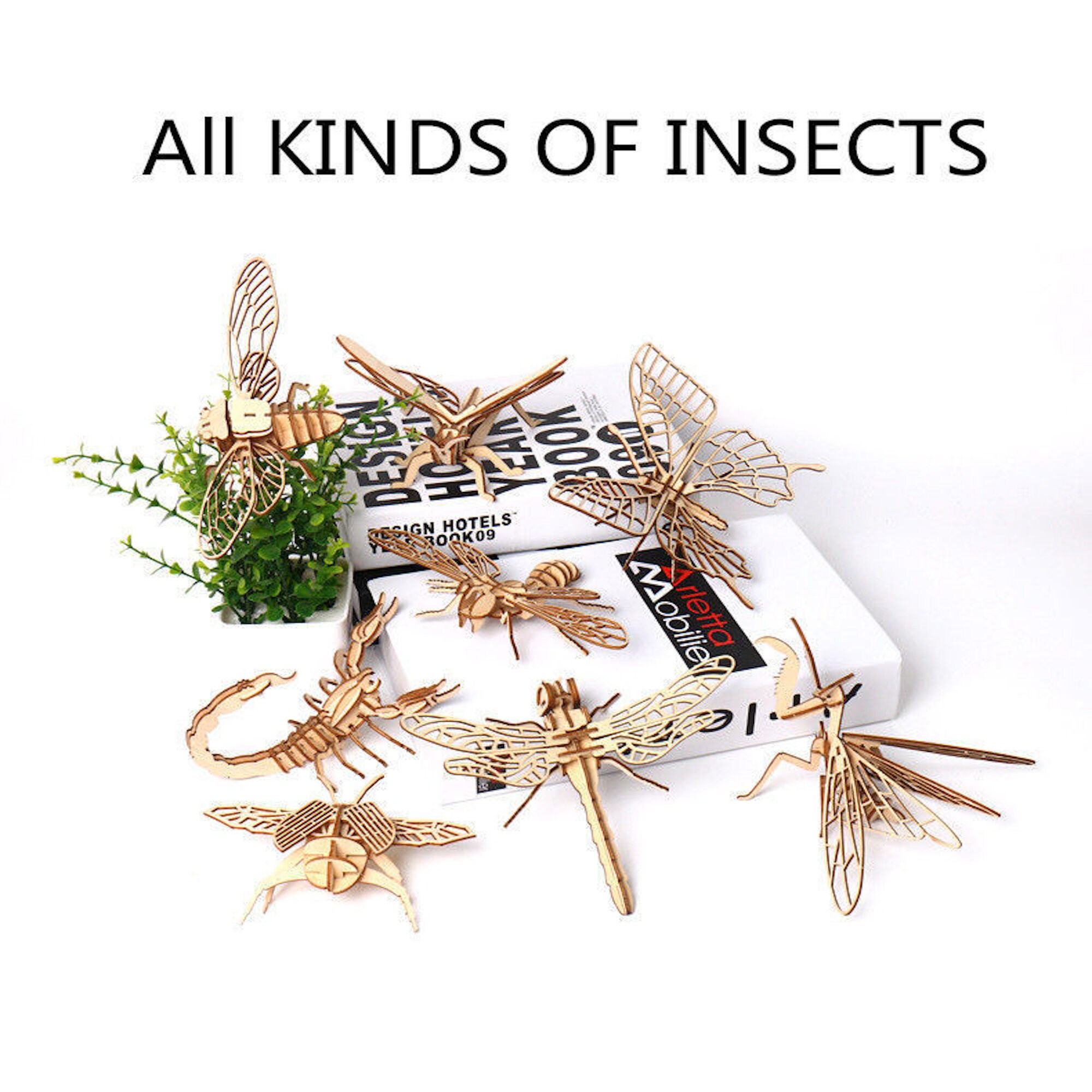 3D Wooden Insects Animal Puzzle DIY Skeleton Assembly Model - Etsy