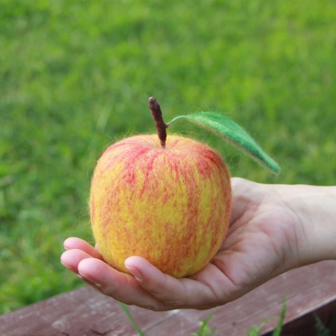Needle Felted Red Apple, Life Size Needle Felted Fruit, Autumn Fall ...