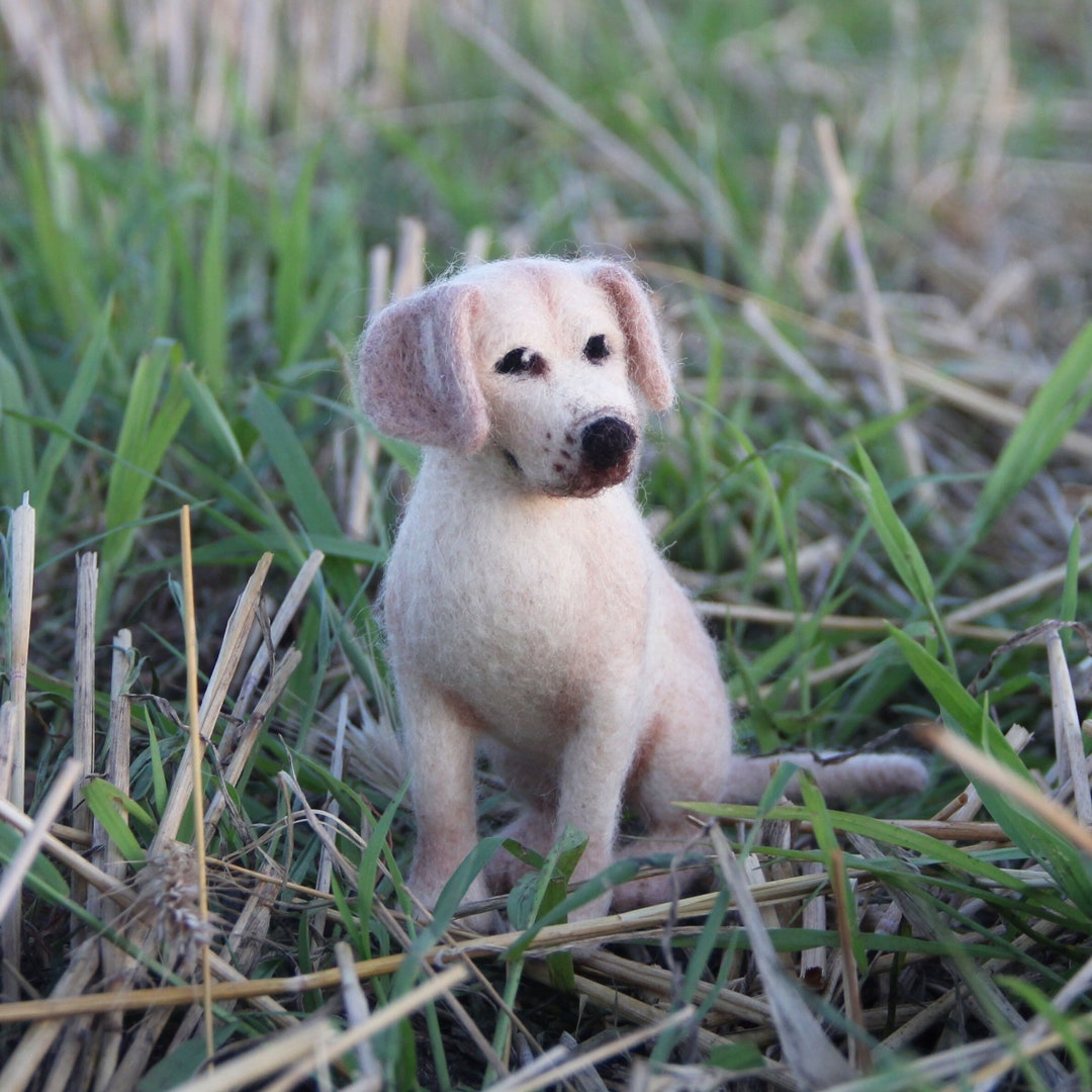 Needle Felted Short-haired Dog Sculpture, Labrador Retriever Custom ...
