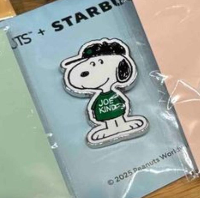 Starbucks X Snoopy Joe Kind Collectibles Pins - Etsy Canada
