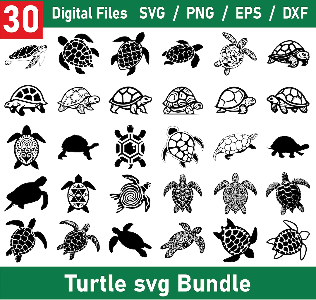 Turtle Svg Bundle, Sea Turtle Svg, Cute Sea Turtle Svg, Baby Turtle Svg ...