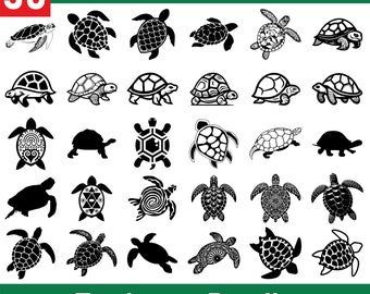 Sea Turtle SVG PNG Files, Cute Sea Turtle Svg, Baby Turtle Svg, Ocean ...