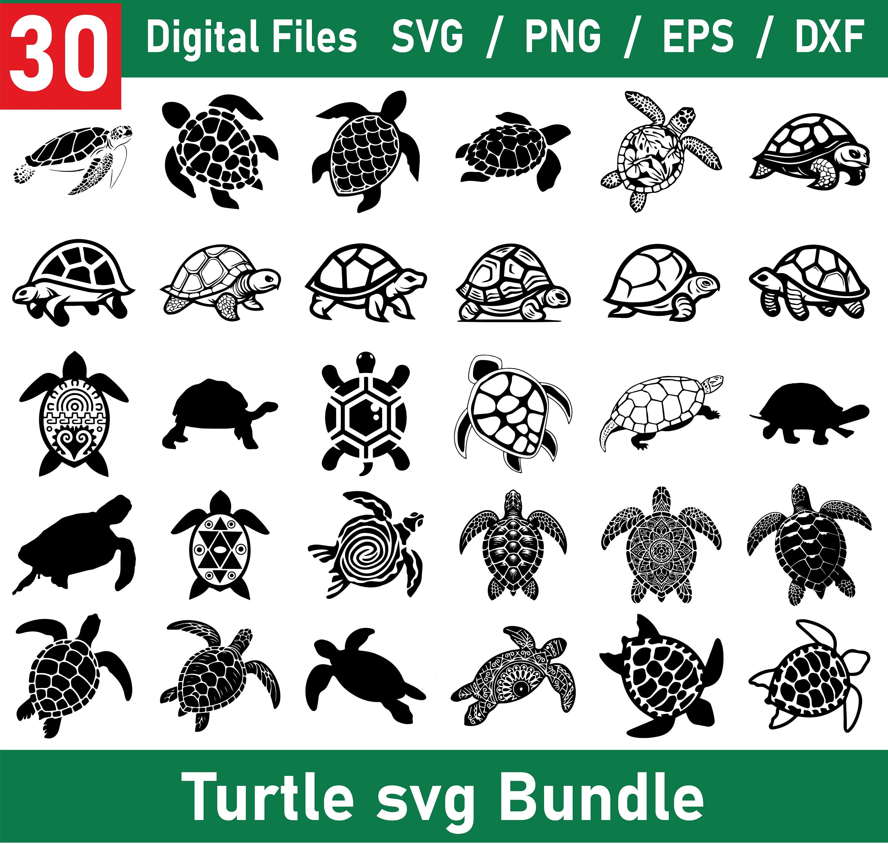Turtle Svg Bundle, Sea Turtle Svg, Cute Sea Turtle Svg, Baby Turtle Svg ...