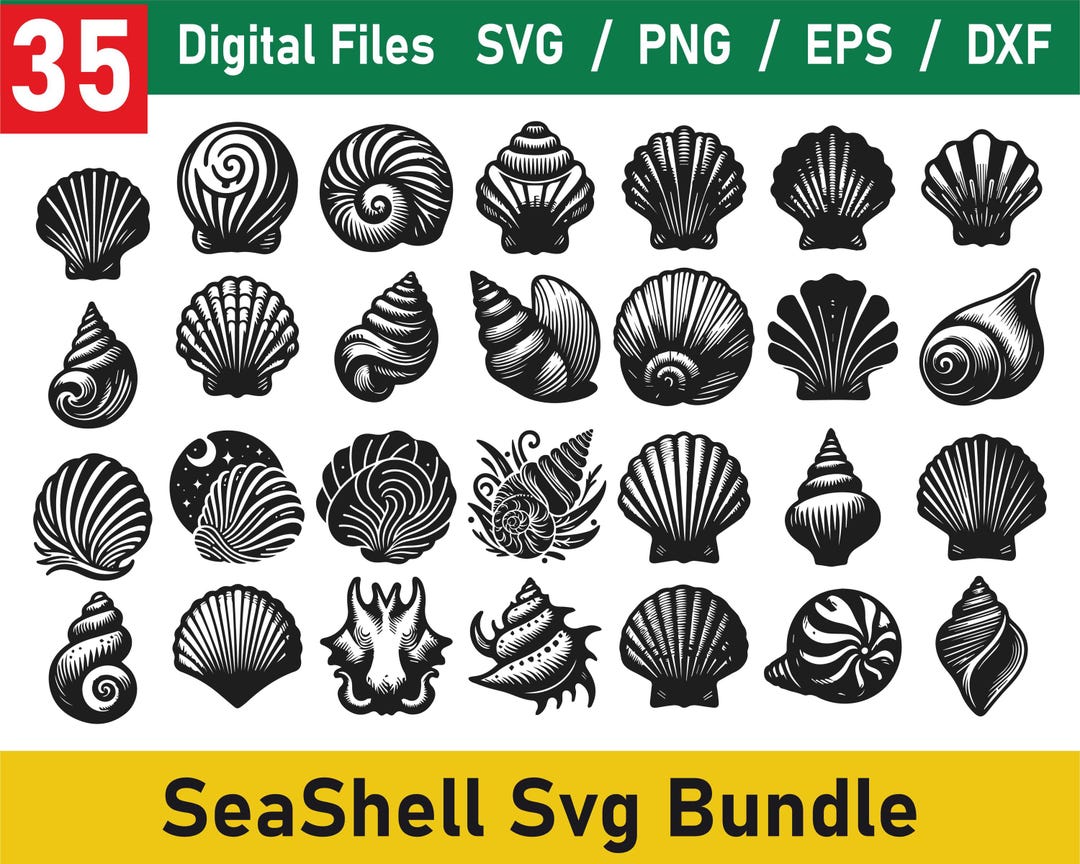 Seashell SVG Bundle, Conch Shell Svg, Shell Dxfs, Print and Cut Shell ...