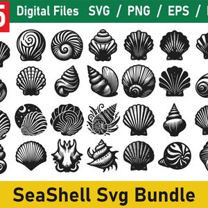 Seashell SVG Bundle, Conch Shell Svg, Shell Dxfs, Print and Cut Shell ...