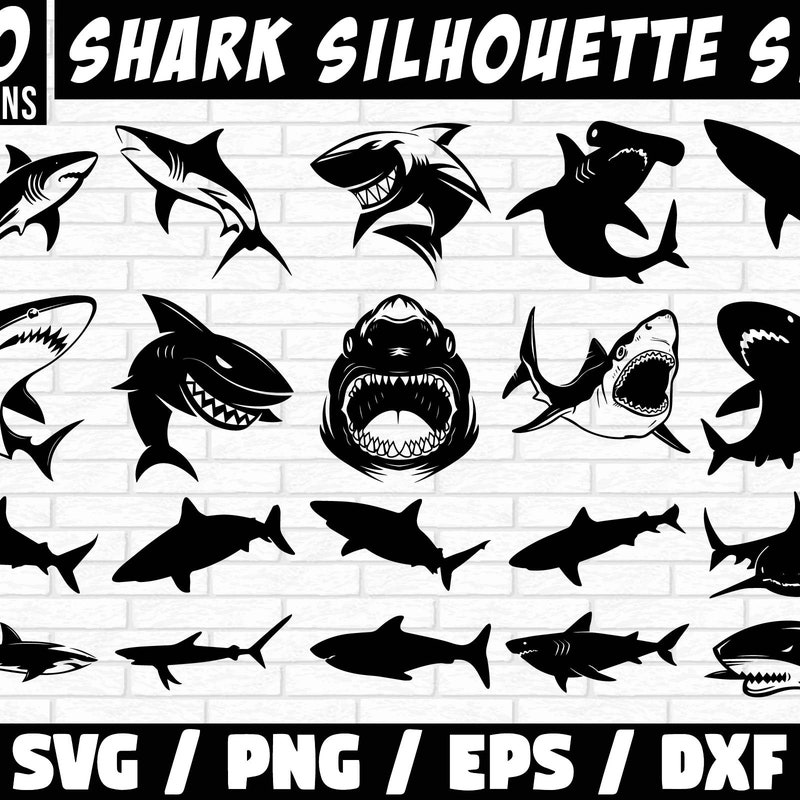 Shark Svg - Etsy