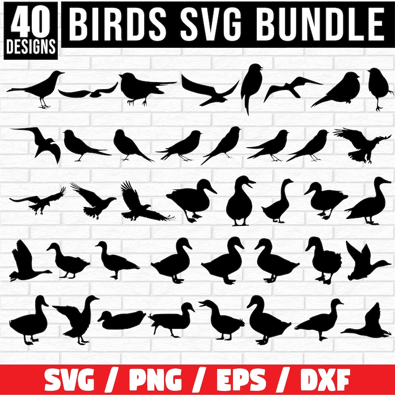 Bird Svg Bundle, Birds Svg, Flying Bird Svg, Birds Clipart. Bird ...