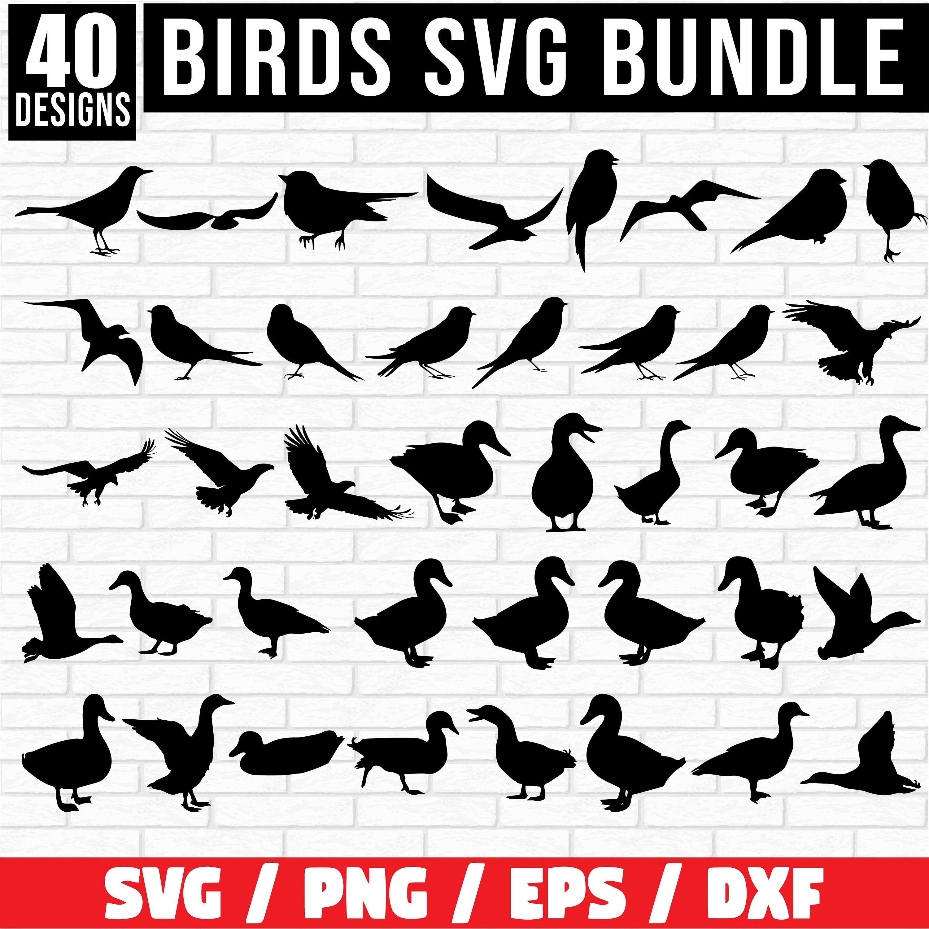 Bird Svg Bundle, Birds Svg, Flying Bird Svg, Birds Clipart. Bird ...