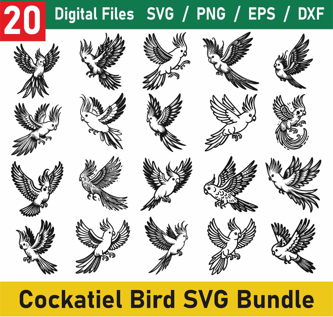 Cockatiel SVG Bundle, Parrot SVG Bundle, Cute Bird, Cute Cockatiel ...