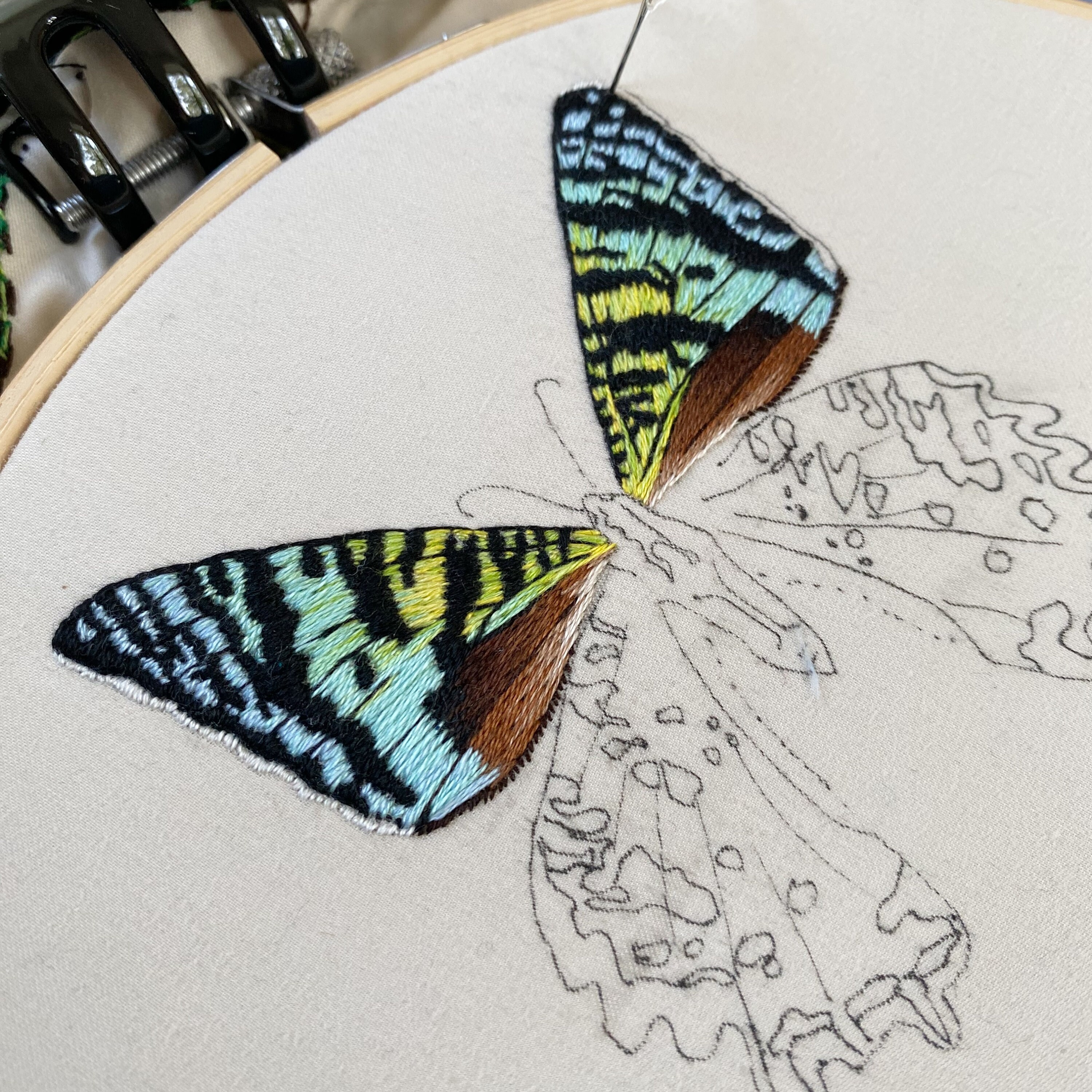 Madagascan Sunset Moth Embroidery Pattern - Verso | Thread Painting ...