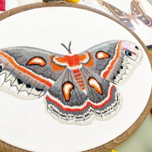 Cecropia Moth Embroidery PDF Pattern | Suitable for Beginners - Etsy