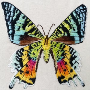 Madagascan Sunset Moth Embroidery Pattern - Verso | Thread Painting ...