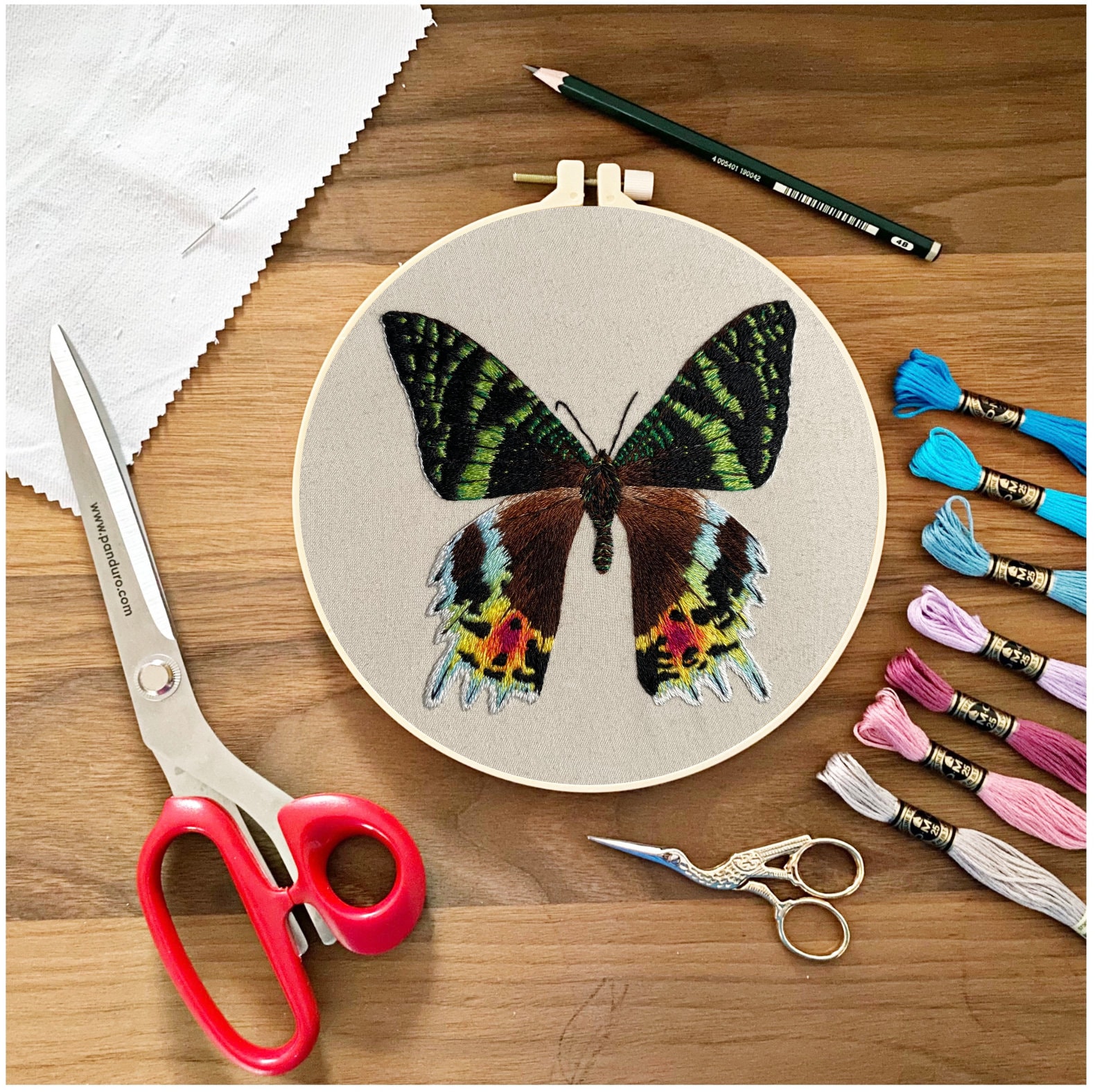 Madagascan Sunset Moth Embroidery Pattern - Recto | Thread Painting ...